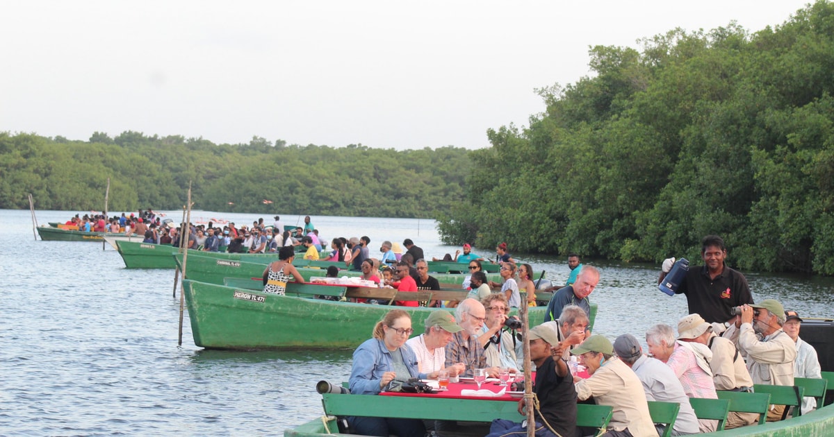 Caroni: Bird Sanctuary Wildlife Swamp Tour | GetYourGuide