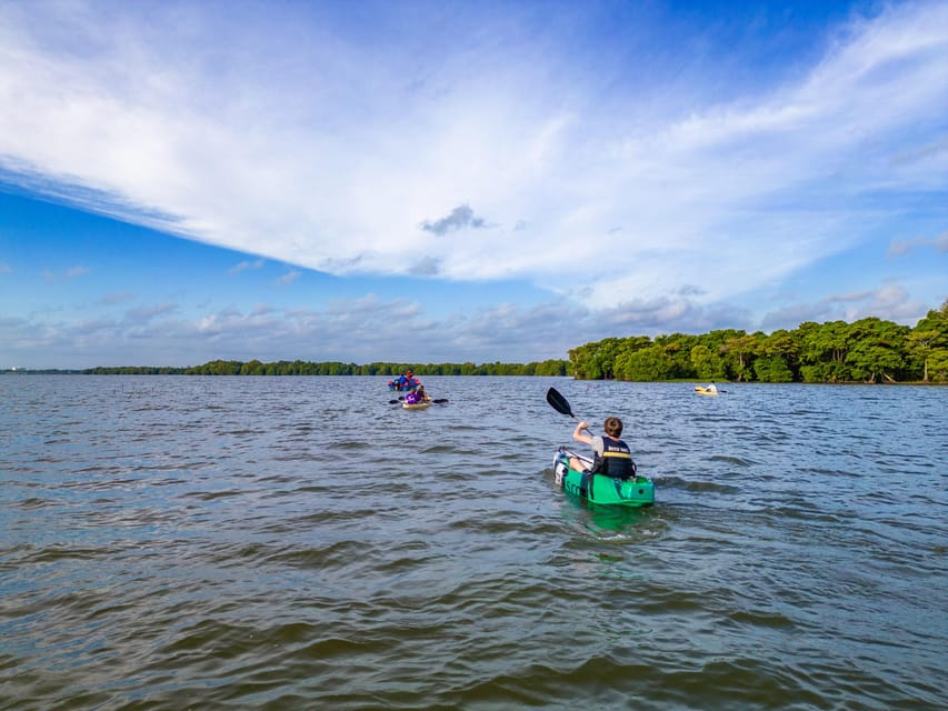 Sunrise Kayaking on the Negombo Lagoon | GetYourGuide