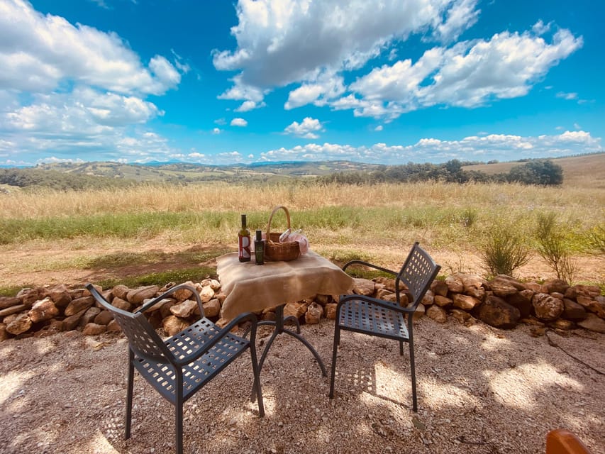 Organic farm lunch picnic in Maremma Tuscany | GetYourGuide