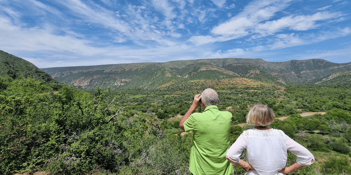 Addo Park Kabouga Section Private Full-Day Safari | GetYourGuide