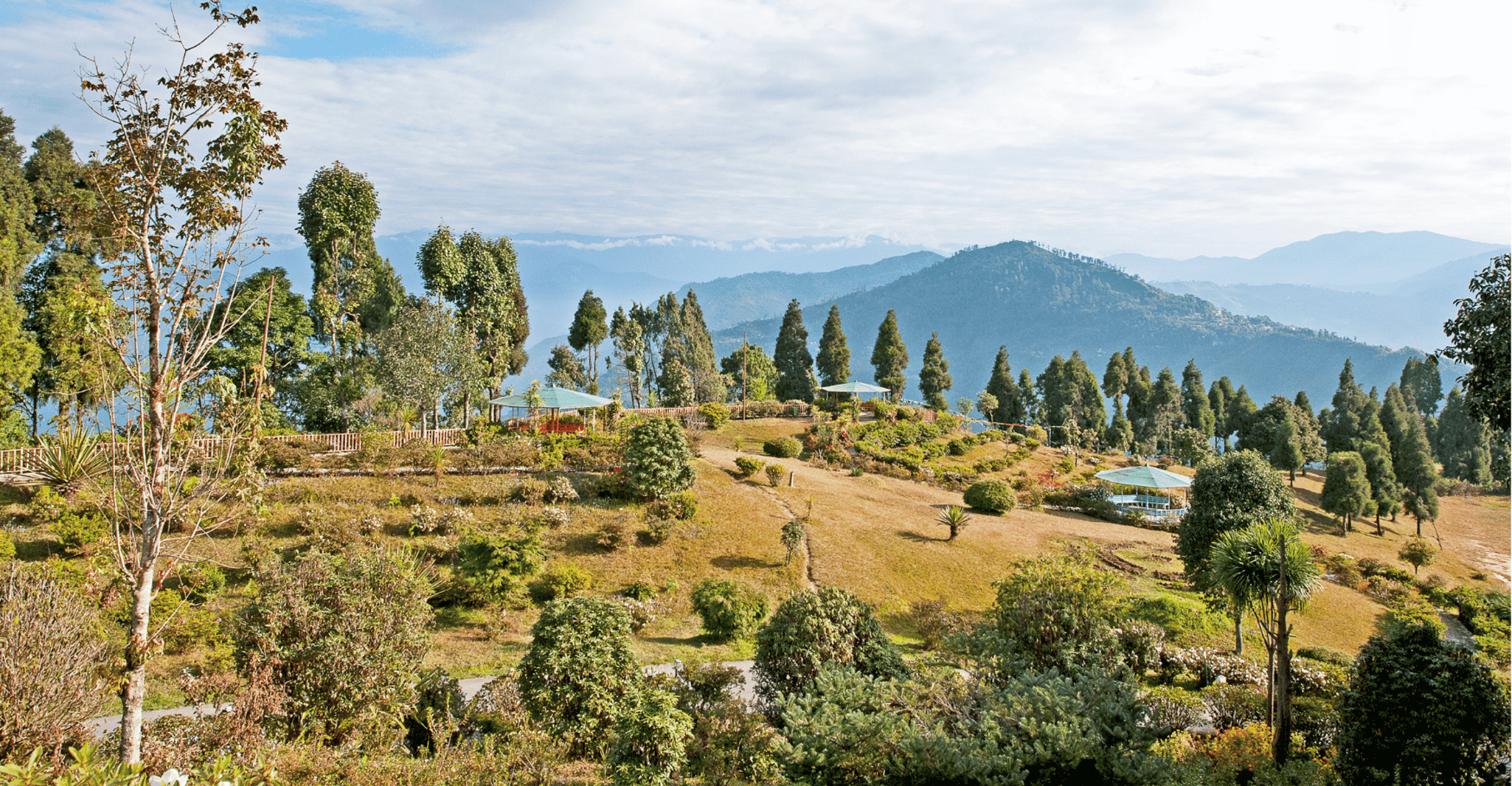 Day Trip to Kalimpong Guided Private Experience from Gangtok | Private ...