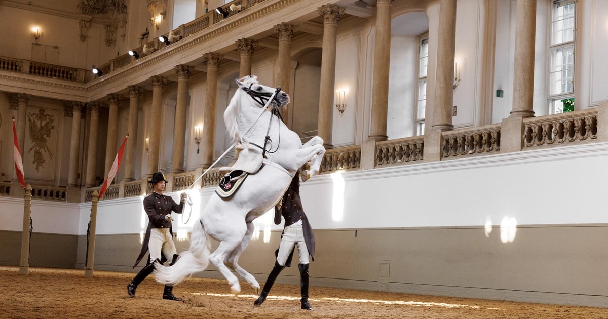 Wien: Spanska ridskolan 45-minuters föreställning | GetYourGuide