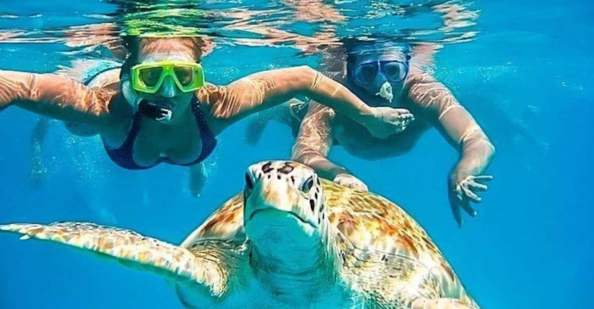 Mancora: Swimming and bathing with turtles | Entrance | | GetYourGuide