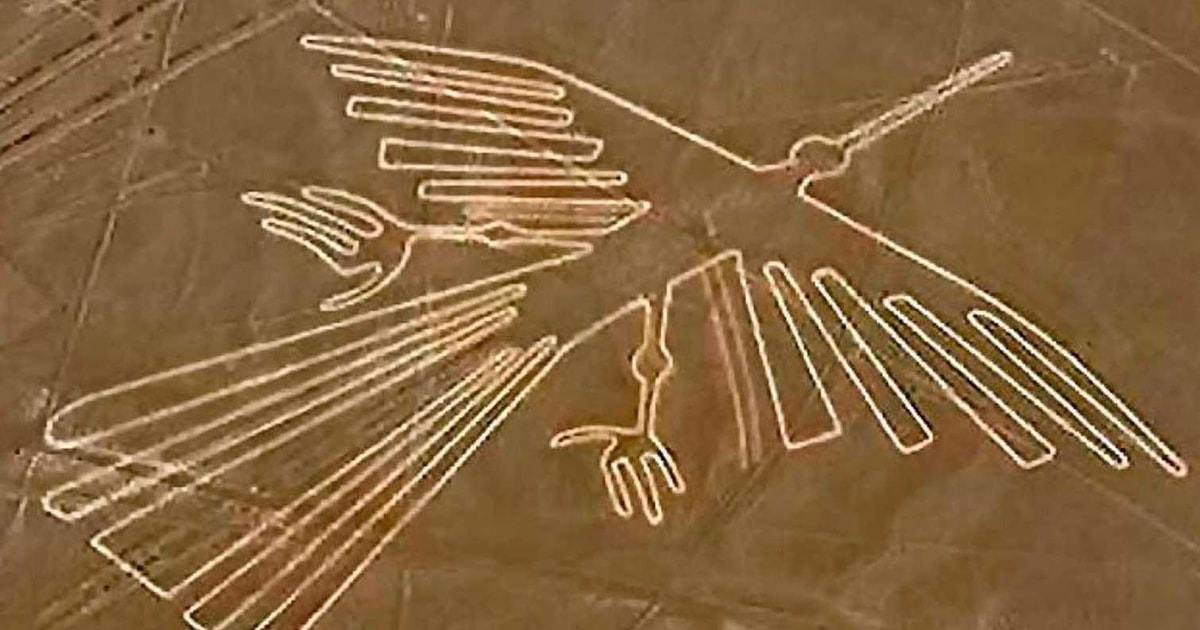From Nazca: Flight in a light aircraft over the Nazca Lines | GetYourGuide