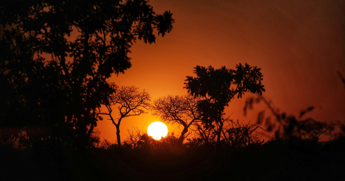 Hazyveiw : Kruger National Park Sunset Game Drive | GetYourGuide