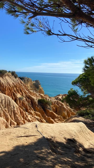 From Faro: Guided Caves, Beaches, Swimming & Hiking Day Tour | GetYourGuide