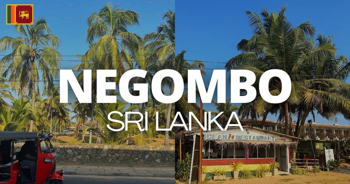 Negombo City: Erkunde den Fischmarkt und den Dutch Canal mit dem Boot ...