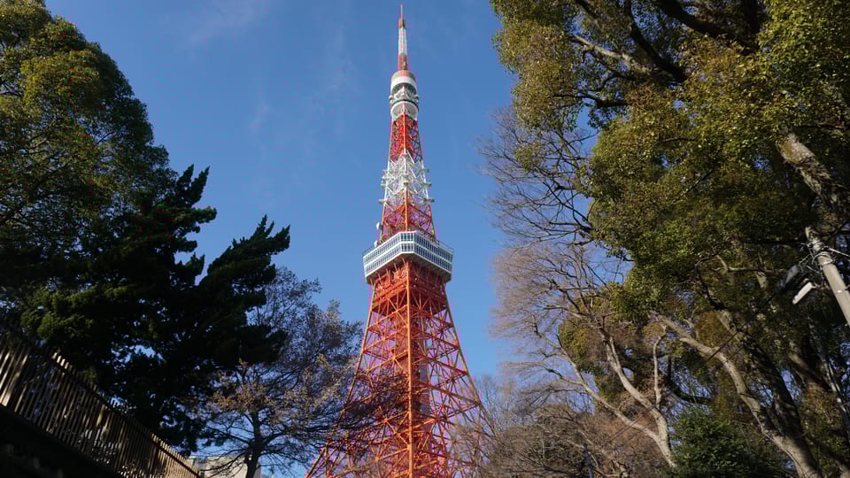 Tokio Tower Secret Photo Spot und Skyline Tour | GetYourGuide