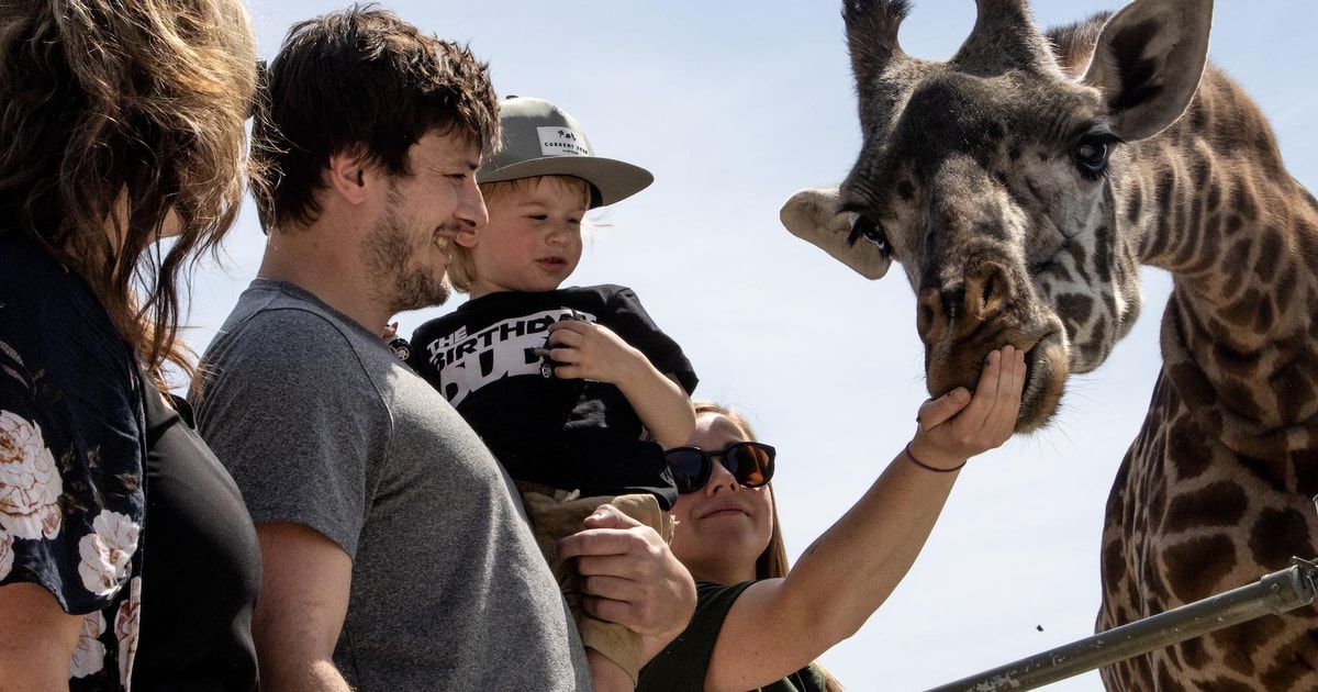 Toronto: Toronto Zoo Entry Ticket | GetYourGuide