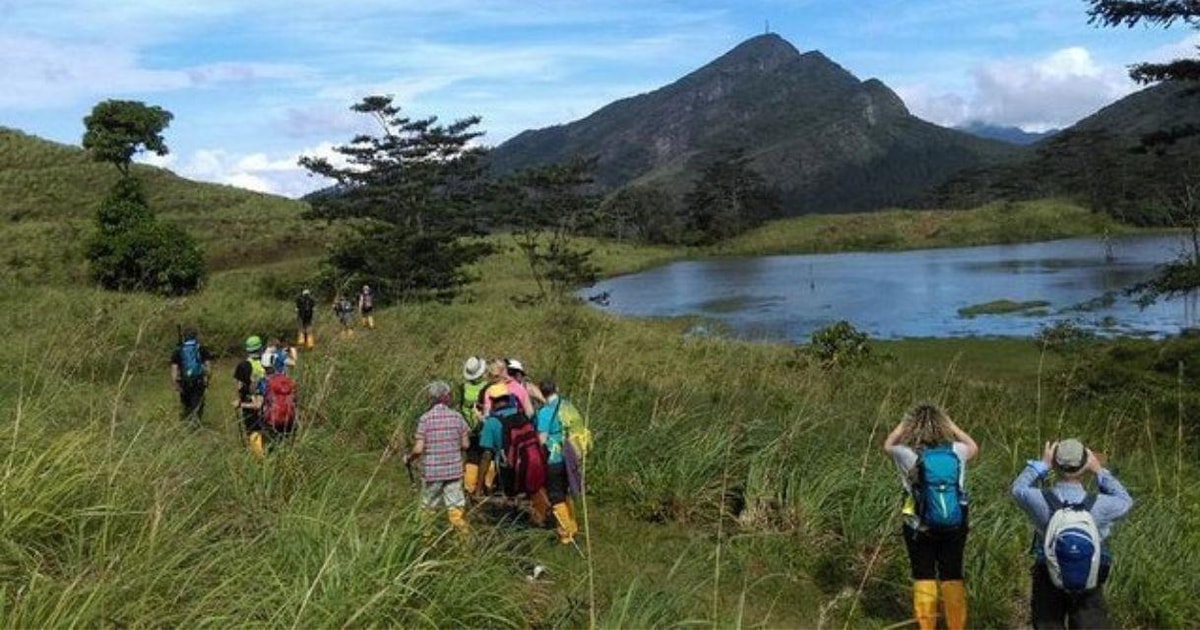 Knuckles: Overnight adventure camping - All Inclusive tour! | GetYourGuide