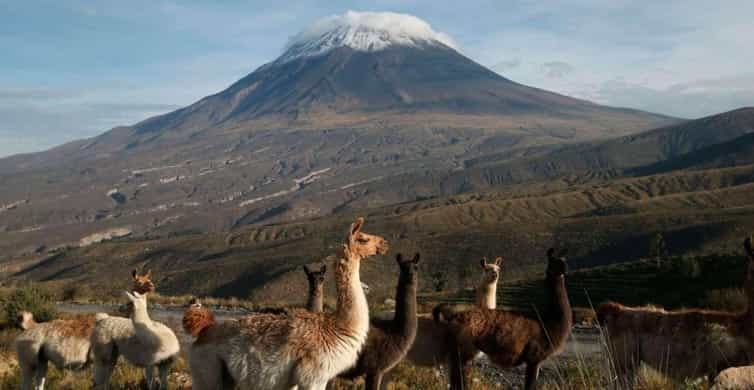 Misti Volcano Expedition - Conquer the Peak | GetYourGuide