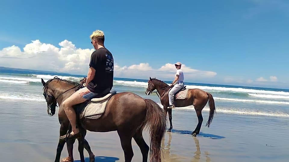 Bali: Seminyak Horse riding and Surf Lesson Beach | GetYourGuide