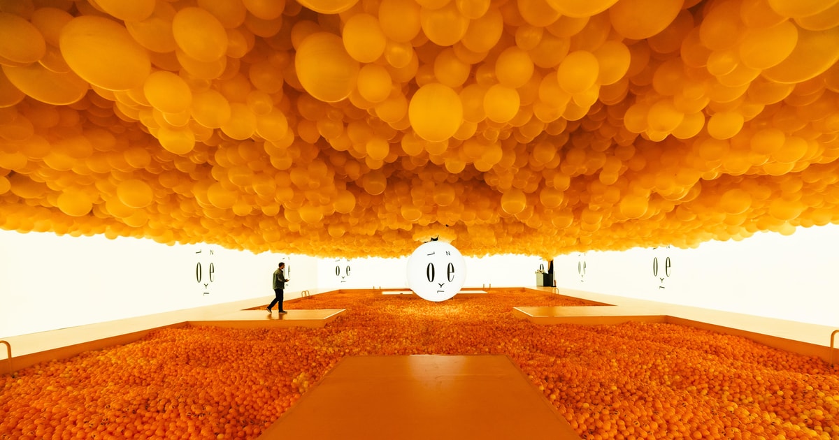 Chicago: Balloon Museum - EmotionAir - Entry Tickets | GetYourGuide