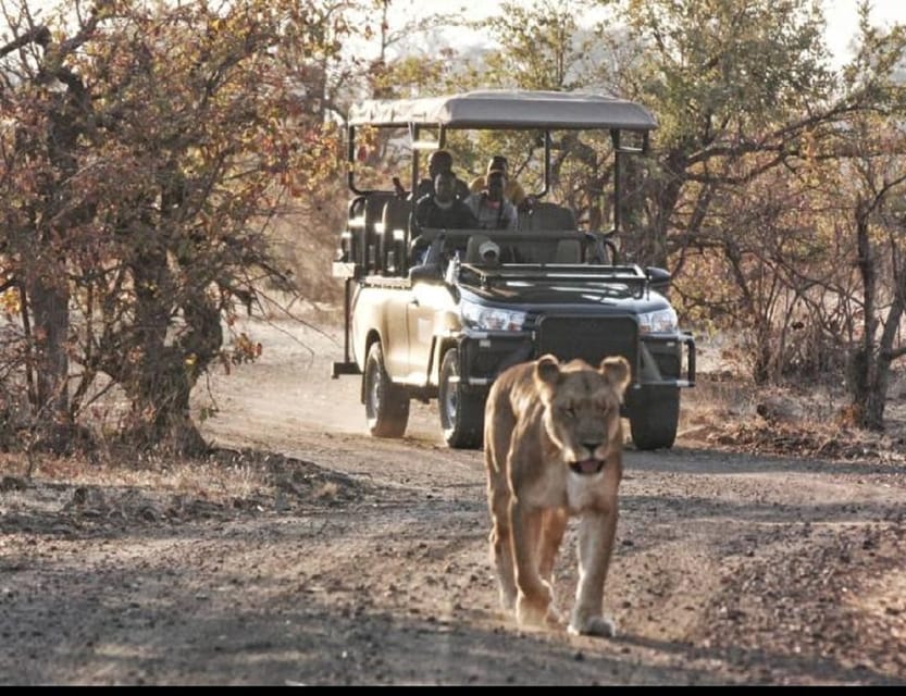 Zambezi National Park Game Drive AM /PM | GetYourGuide