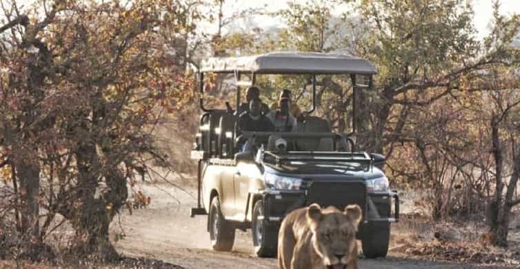 Safari por el Parque Nacional Zambeze AM /PM | GetYourGuide