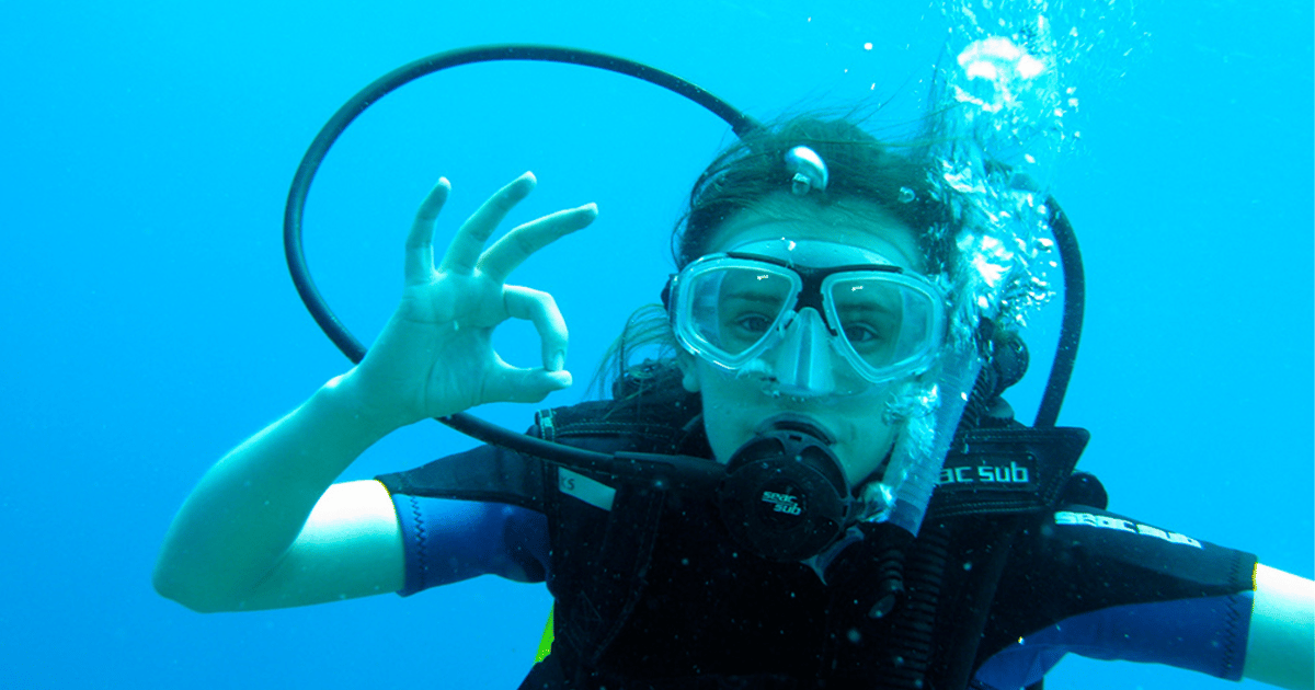 Bodrum: esperienza di immersione subacquea | GetYourGuide