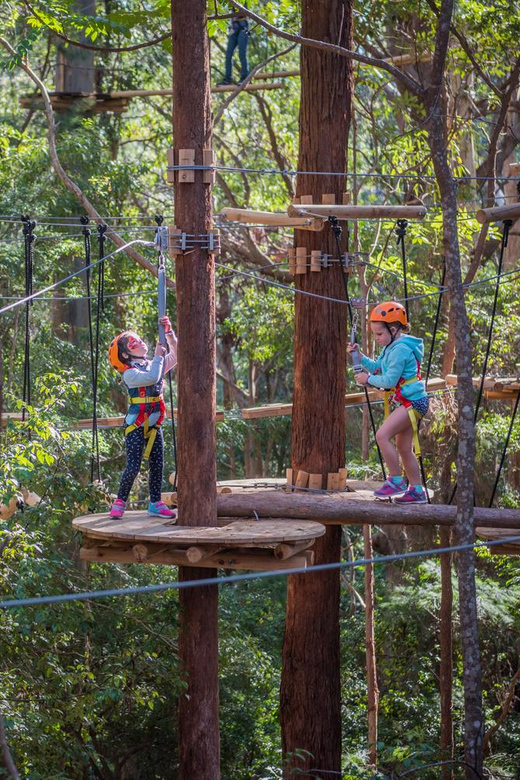 Newcastle: Junior Tree Ropes Course | GetYourGuide