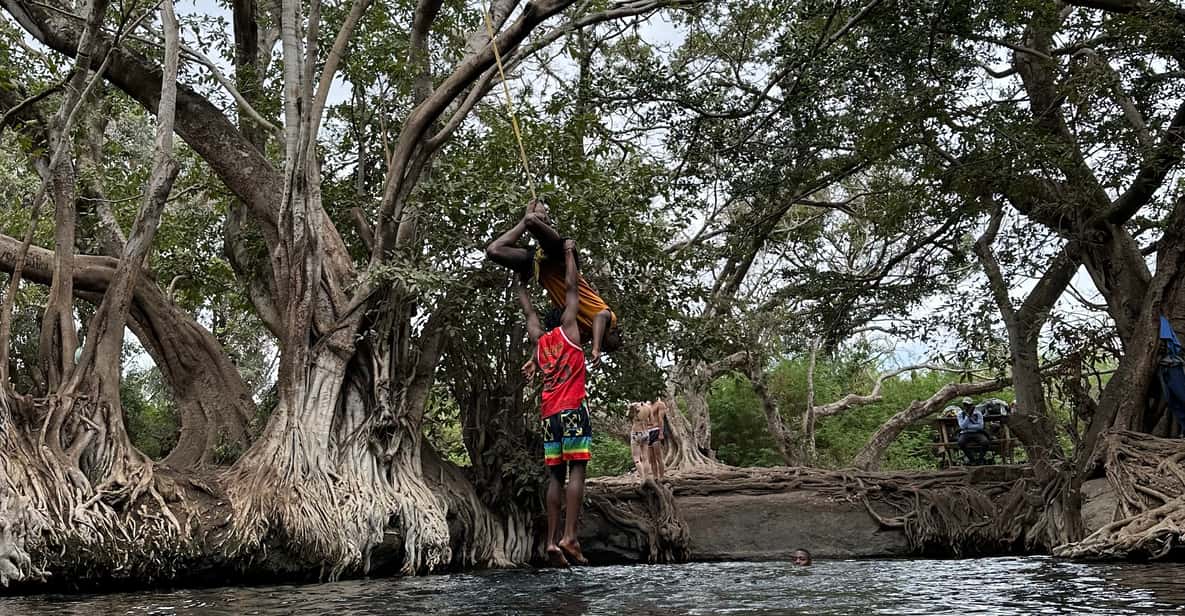 Kikuletwa (Chemka / Mani Moto) Hot Springs Tuk Tuk Day Trip | GetYourGuide