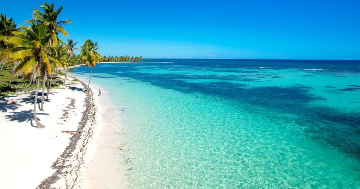Excursion Isla Saona Dia Completo Punta Cana | GetYourGuide