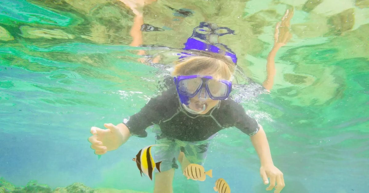 Bali, Amed Snorkeling, Kayak, and Paddle Board Tour | GetYourGuide