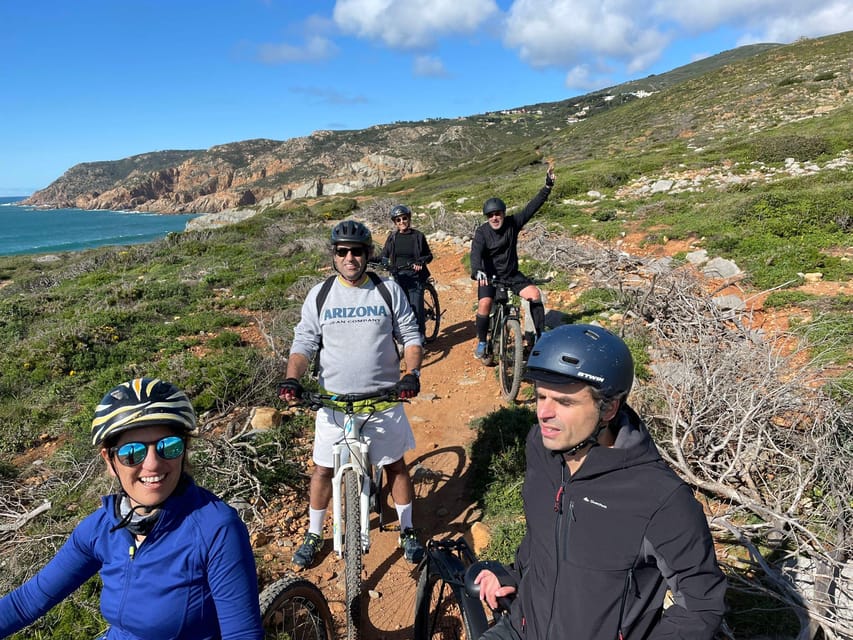 Cascais-Sintra E-bike Tour: Coast & Countryside Adventure | GetYourGuide