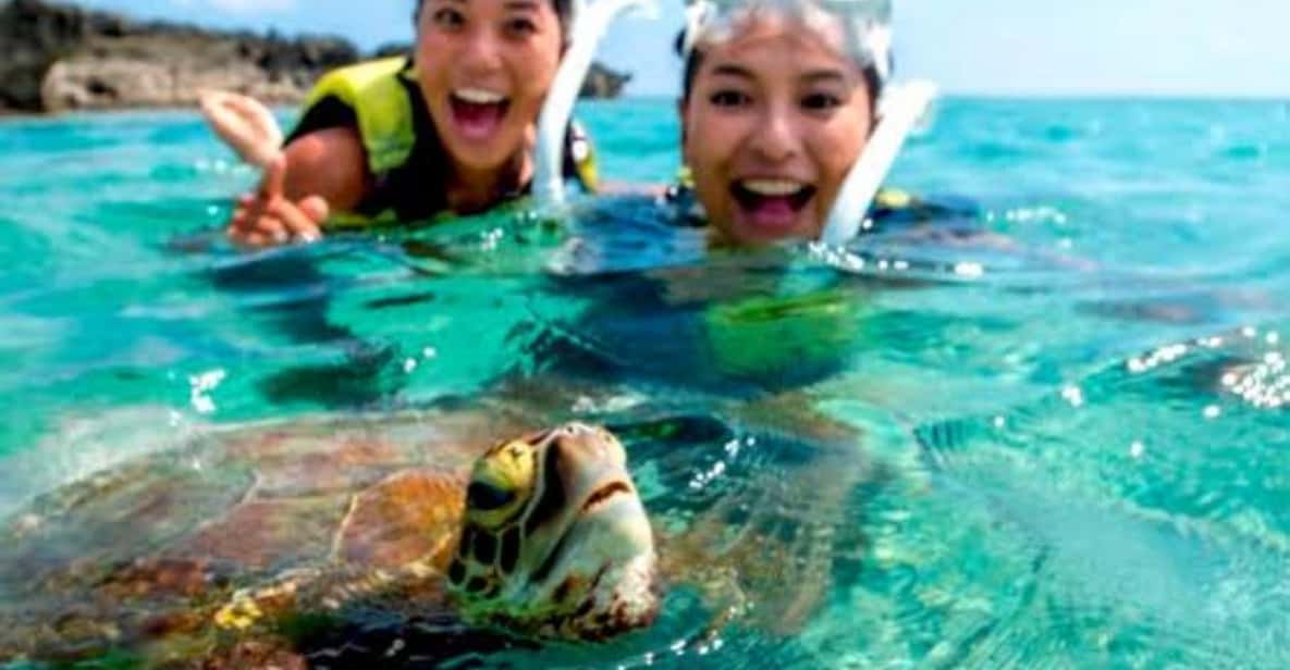 Bohol: Island Hopping with Turtles, Dolphins & Snorkeling | GetYourGuide