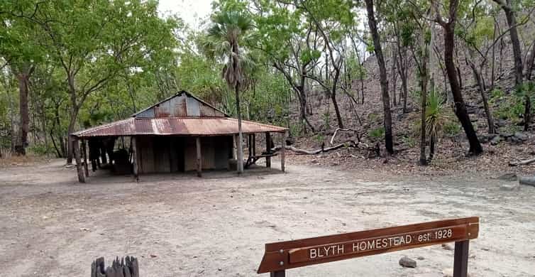 Litchfield 2 Day Tour. NT Top Adventures - Private Tour | GetYourGuide