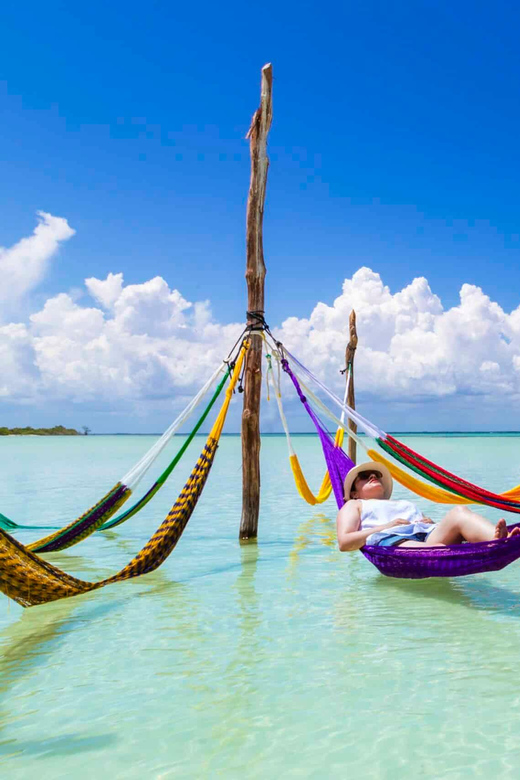 Progreso: Isla Columpios and Pig Beach Club Day Pass | GetYourGuide