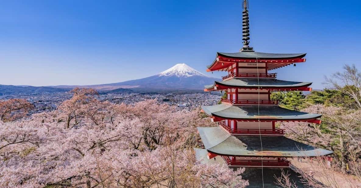 Excursão de um dia ao Monte Fuji e Hakone com guia de turismo que fala inglês | GetYourGuide