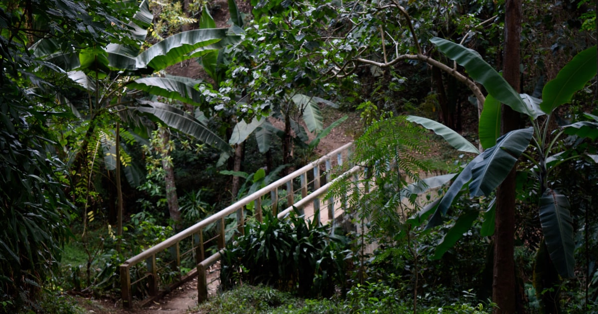 Arusha: Meru Village Tour (Walking or Bike) | GetYourGuide