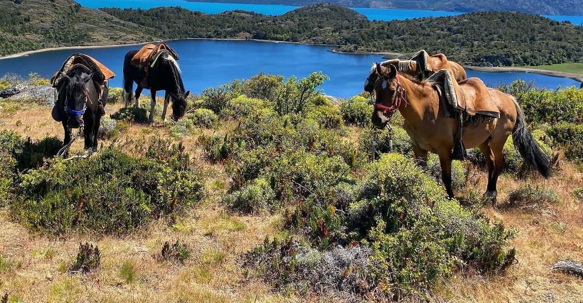 MALLÍN GRANDE: HORSEBACK RIDING WITH A VIEW OF THE LAKE | GetYourGuide