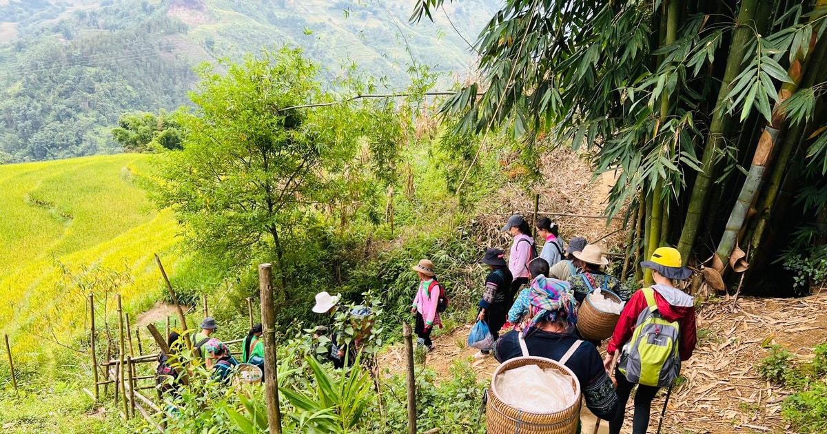 Trektocht SaPa 1 dag - het beste terrasvormige rijstveld | GetYourGuide