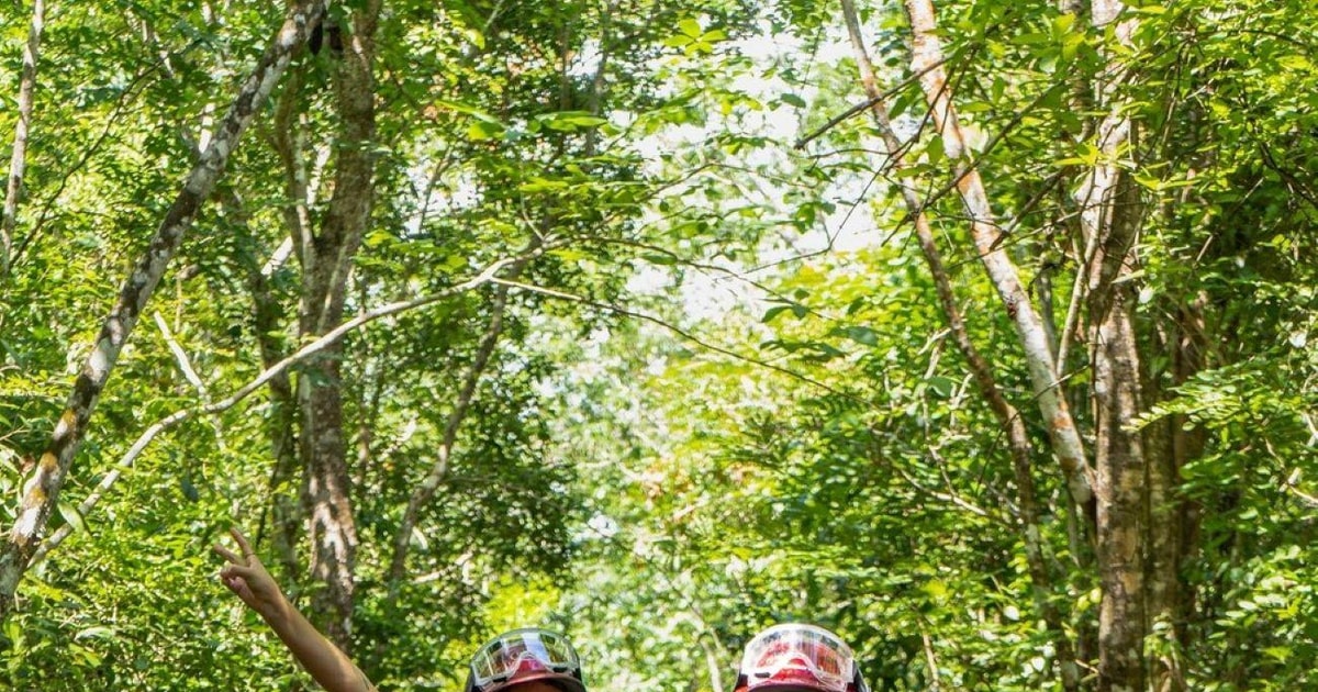 Cozumel: ATV Jungle Adventure on 4X4 | GetYourGuide