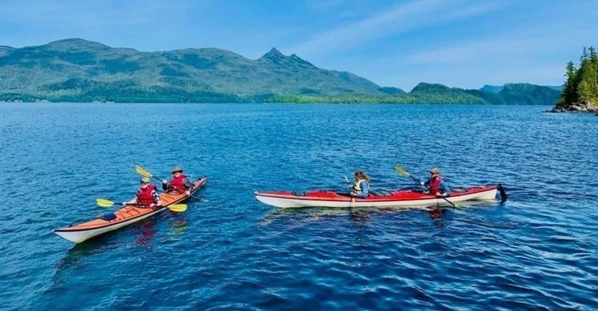 Ketchikan: Orca Cove Fast Boat en zeekajaktocht | GetYourGuide