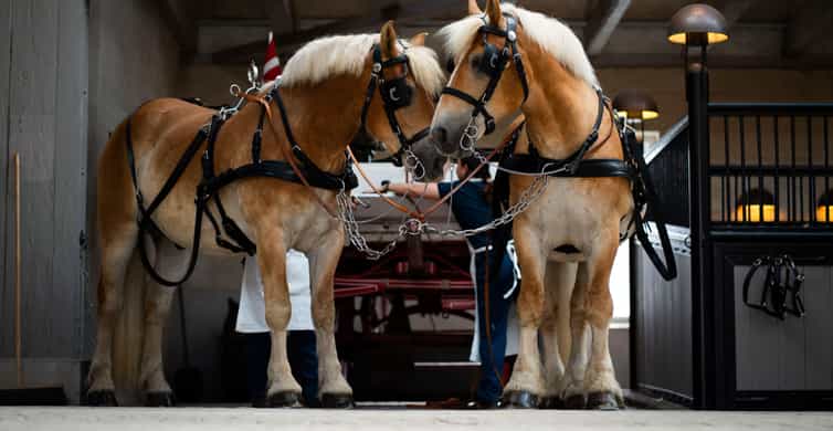 Copenhagen: Home of Carlsberg Experience Entry Ticket | GetYourGuide