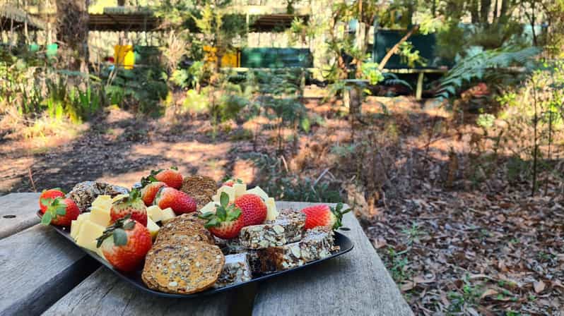 Perth: Dwellingup Train, Trails, and Woodfired Delights Tour | GetYourGuide