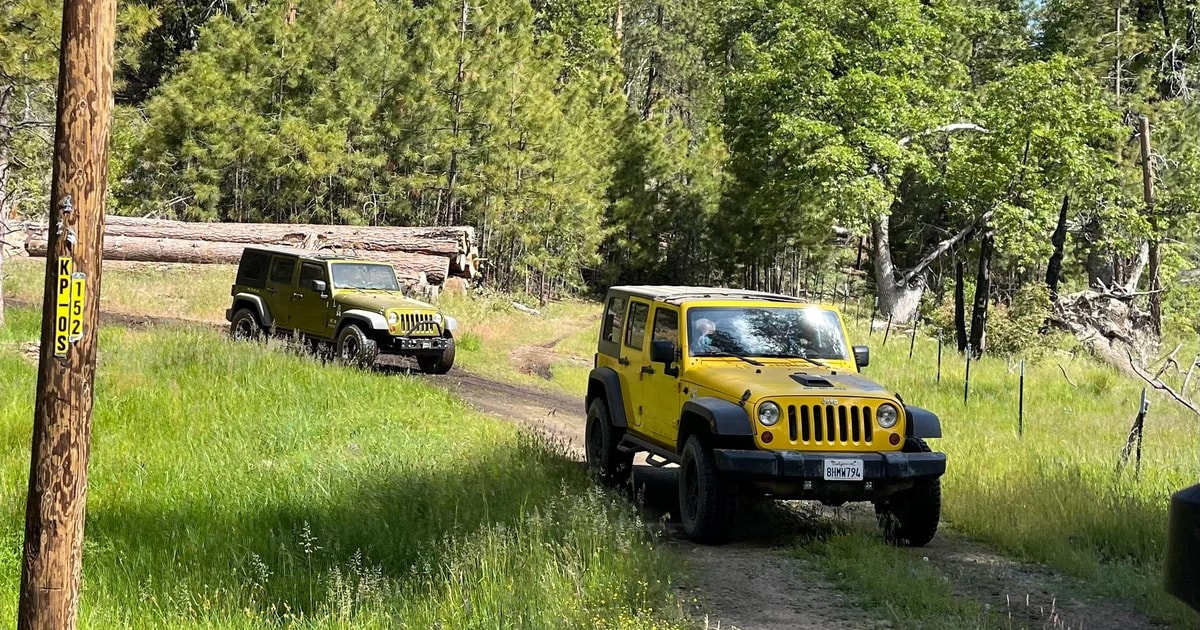 Cordoba: Guided Jeep Tour in Stanislaus National Forest | GetYourGuide