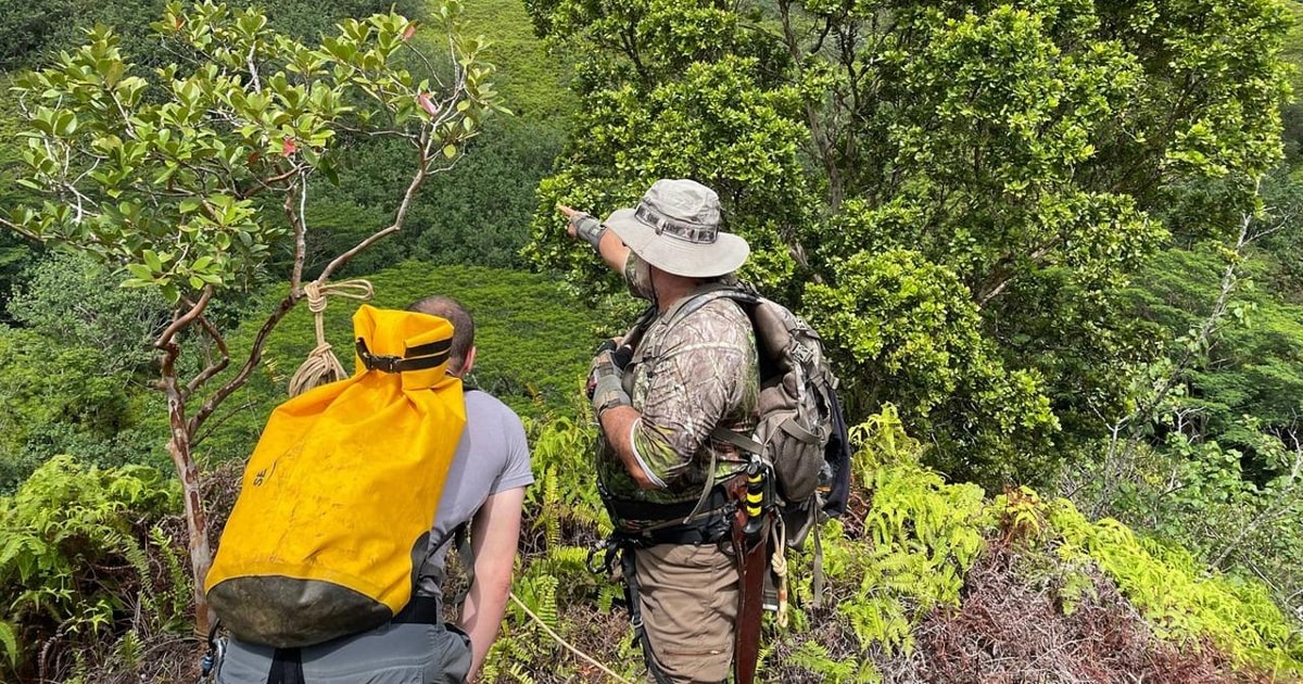 Kauai: Jungle Waterfall Tour Wit Da Native Hawaiian Dundee | GetYourGuide