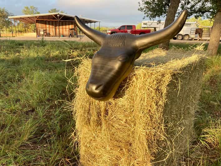 Bandera: Ranch Visit with Longhorns and Horses | GetYourGuide