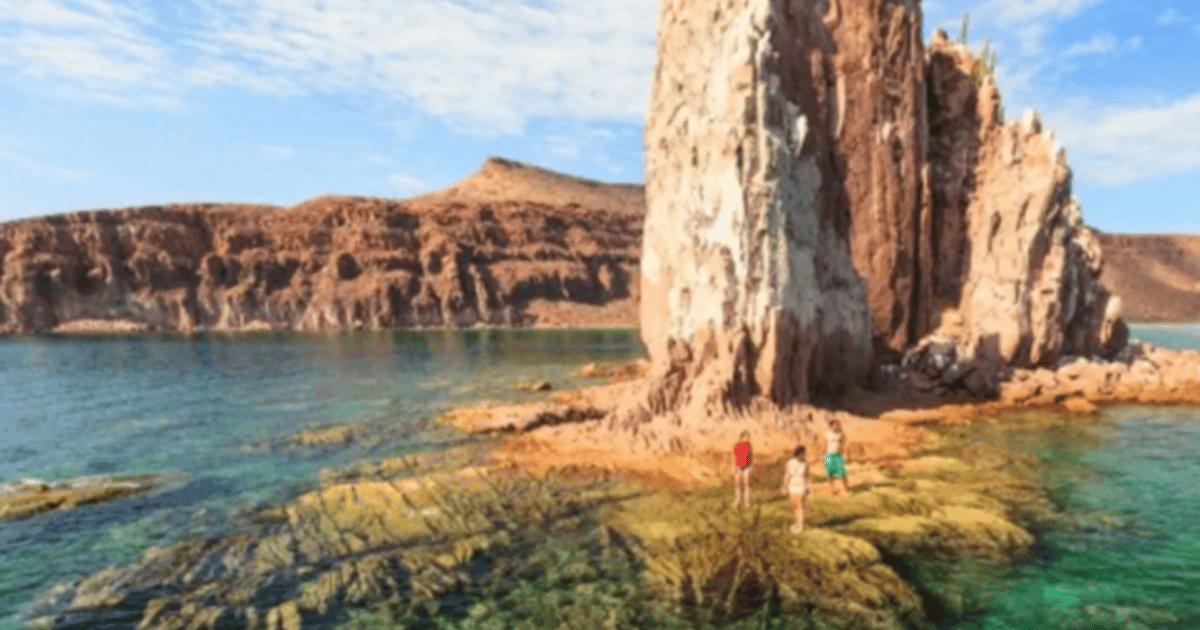 La Paz: Buceo en El Bajo, Monte Marino Marisla | GetYourGuide