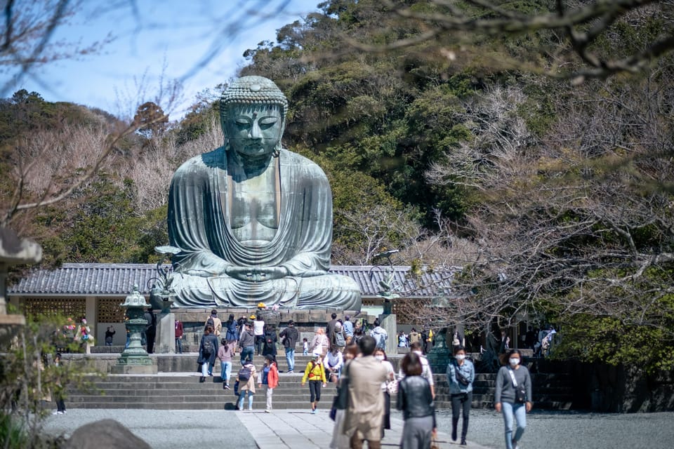 Trip to Kamakura & Enoshima: Shrines, Seaside, Temples &Tea | GetYourGuide