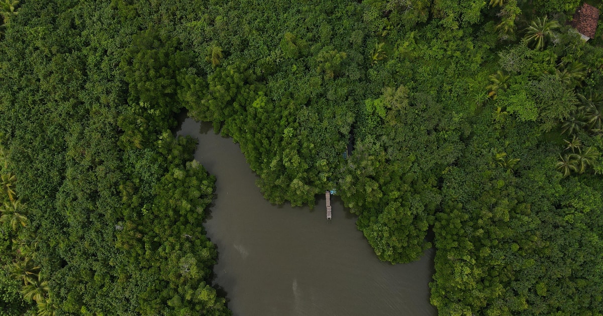 Z Negomba: Soukromá celodenní prohlídka: Galle, řeka Madu, želvy | GetYourGuide