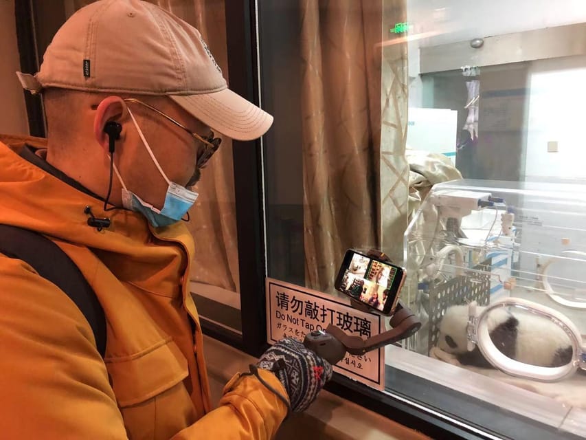 Virtual Terracotta Warriors Museum Live Tour | GetYourGuide