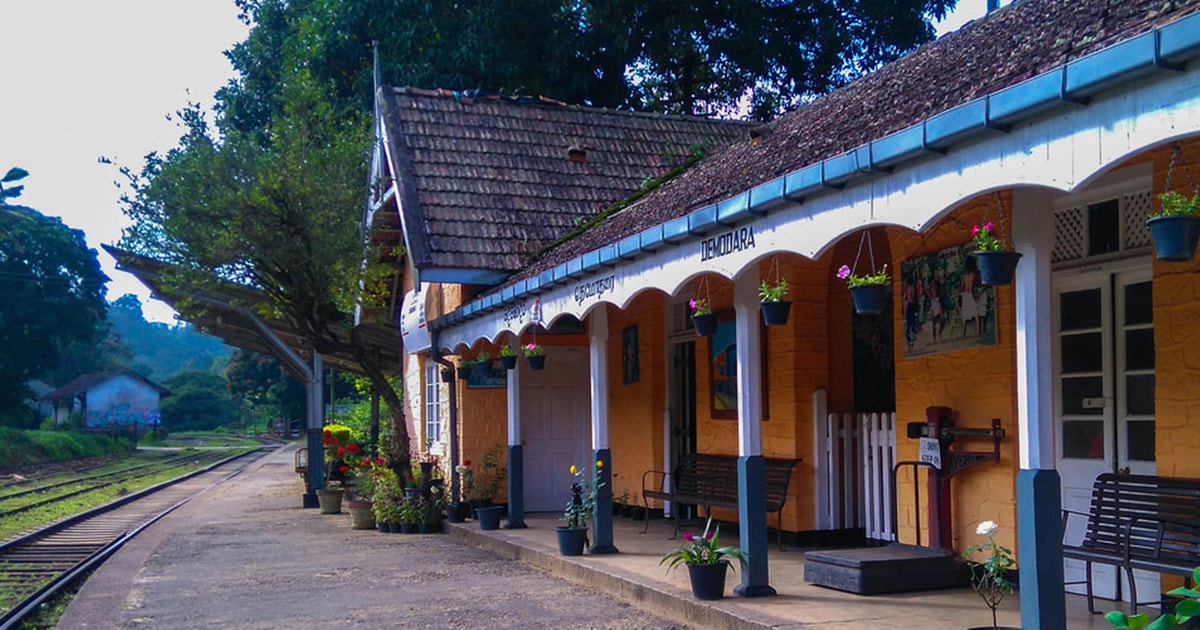 Demodara Railway Station to Ella Hotel TukTuk Transfer | GetYourGuide