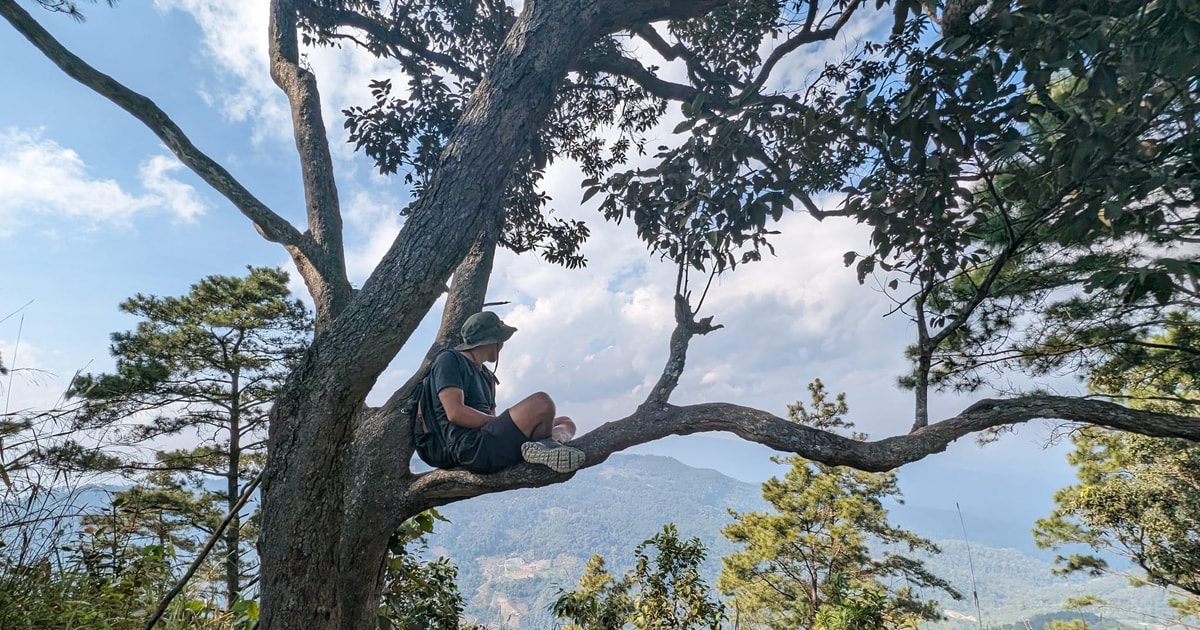 Chiangmai Summit Hike in Doi Suthep-Pui National Park | GetYourGuide
