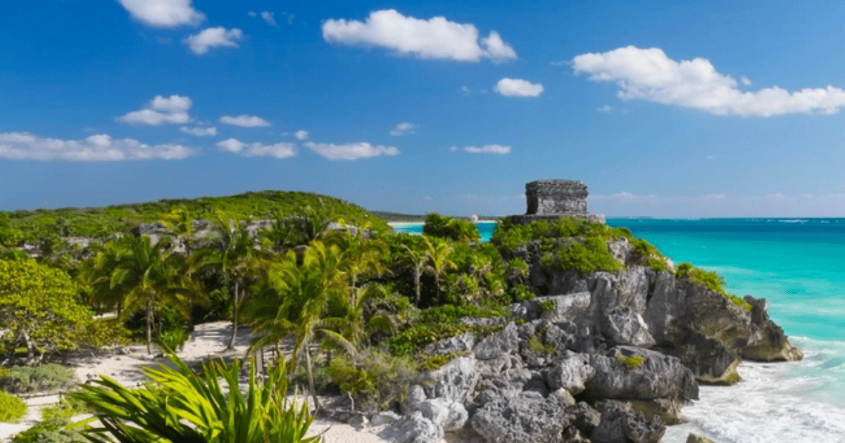 Cancún: Transporte Privado a Isla Holbox | GetYourGuide