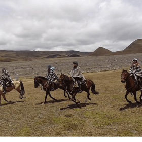 Quito: Cotopaxi National Park Horseback Riding with Lunch | GetYourGuide