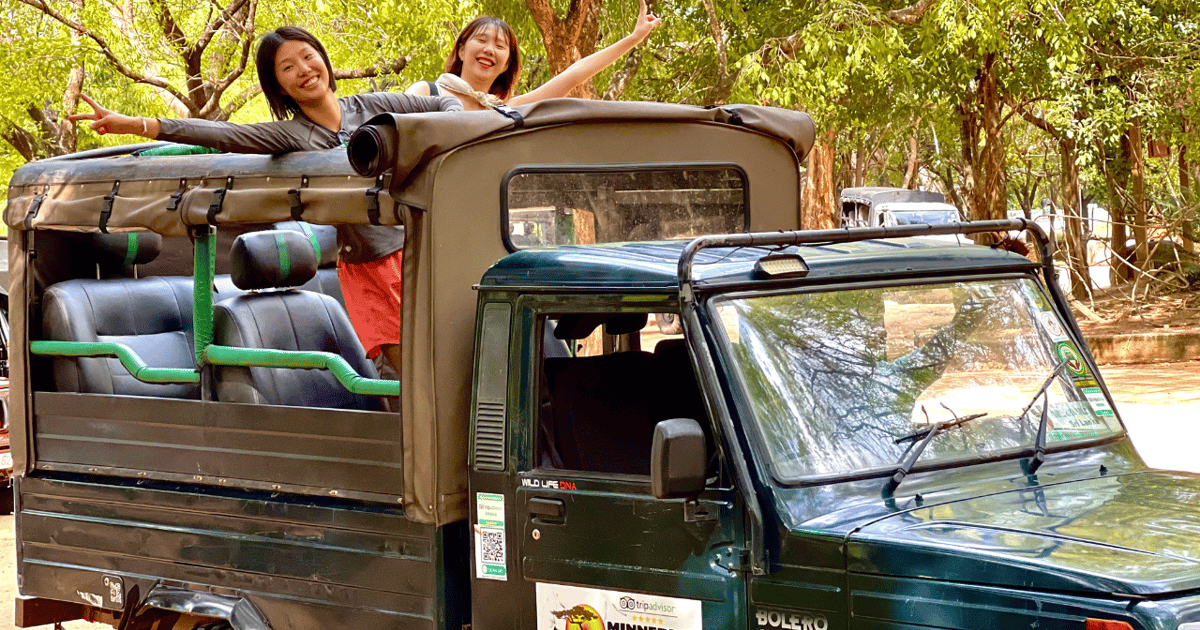 Sigiriya Rock Tour & Minneriya Jeep Safari Srí Lanka | GetYourGuide