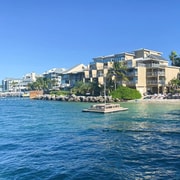 Key West: Jimmy Buffet Walking Tour with Key Lime Pie | GetYourGuide