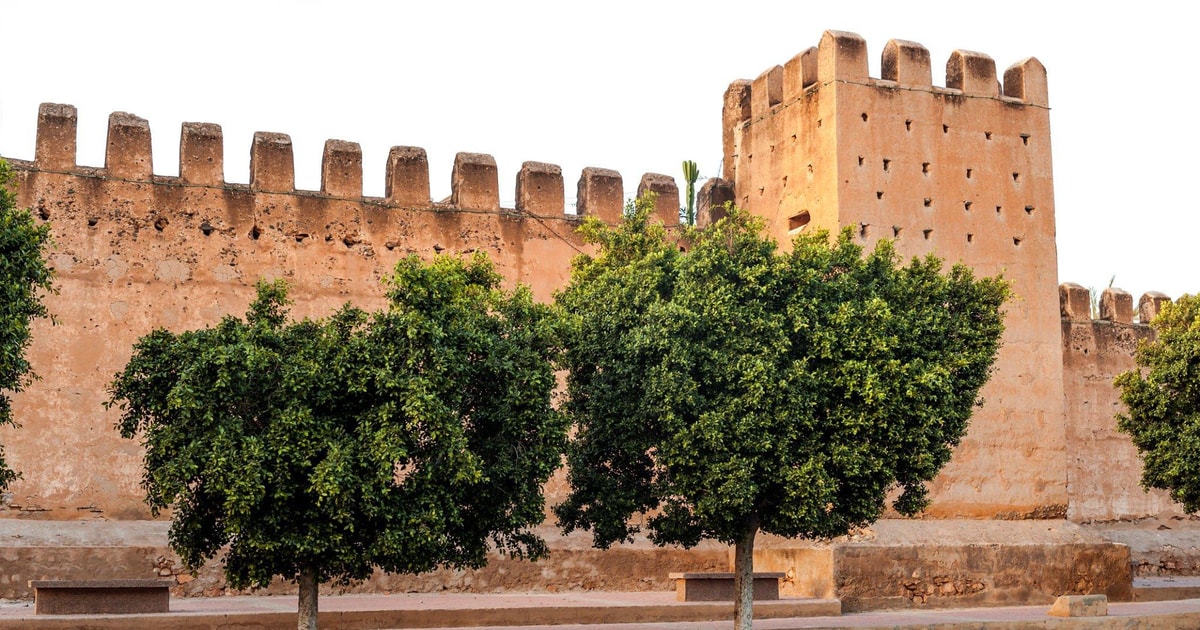 Taroudant and Tiout Oasis Trip With Lunch | GetYourGuide